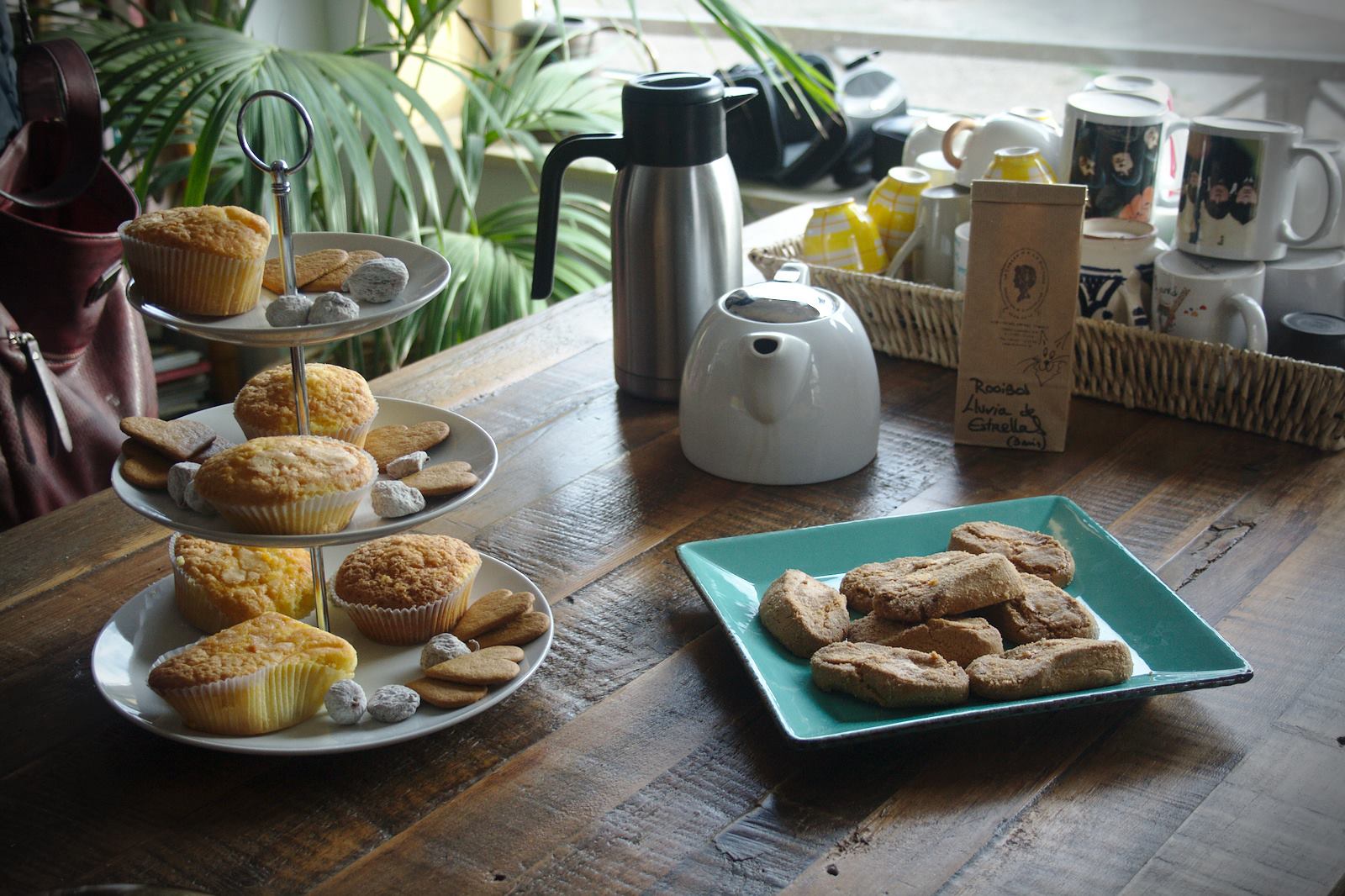 LA ALTERNA evento de presentación - Asociación MUTI